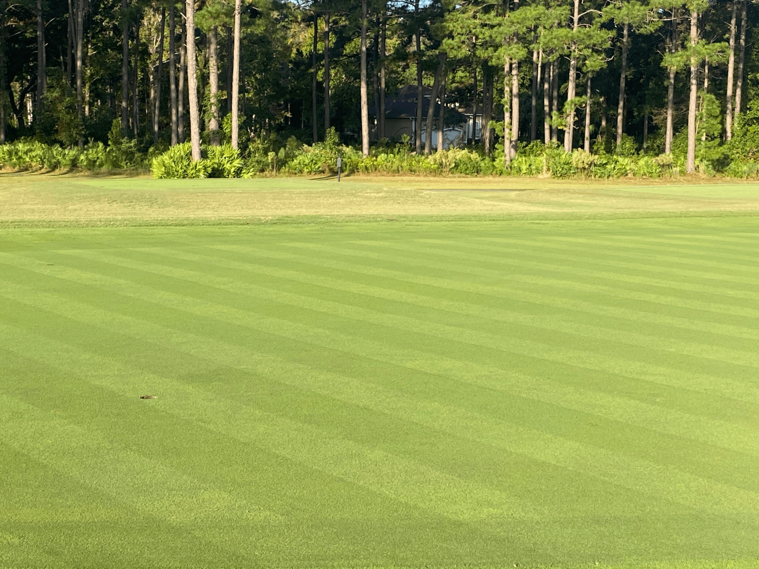 Course Photos - Sanctuary Golf Club